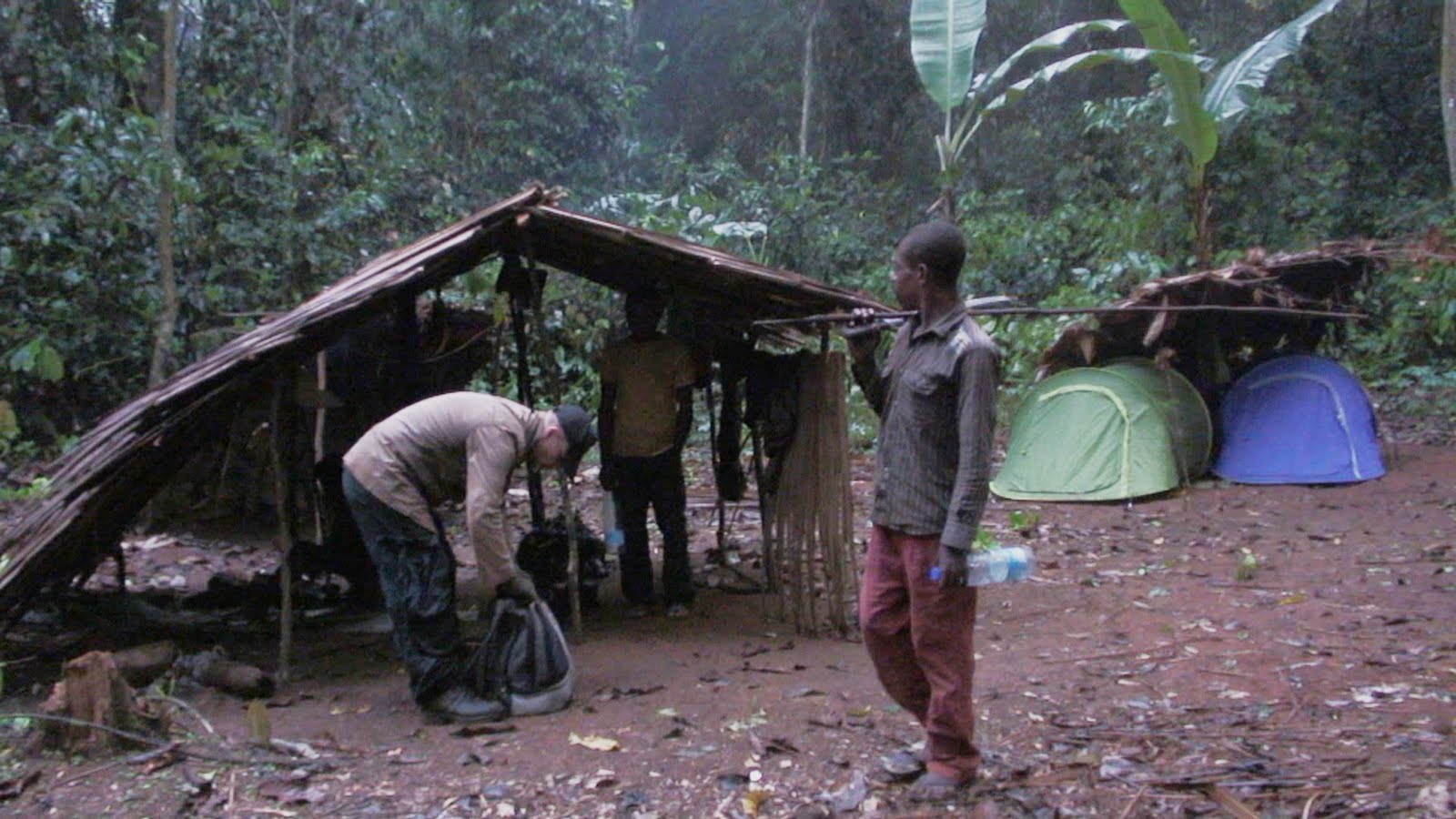 MOKELE - MBEMBE EXPEDITIONS: QUELQUES PHOTOS DE NOTRE EXPEDITION DE ...